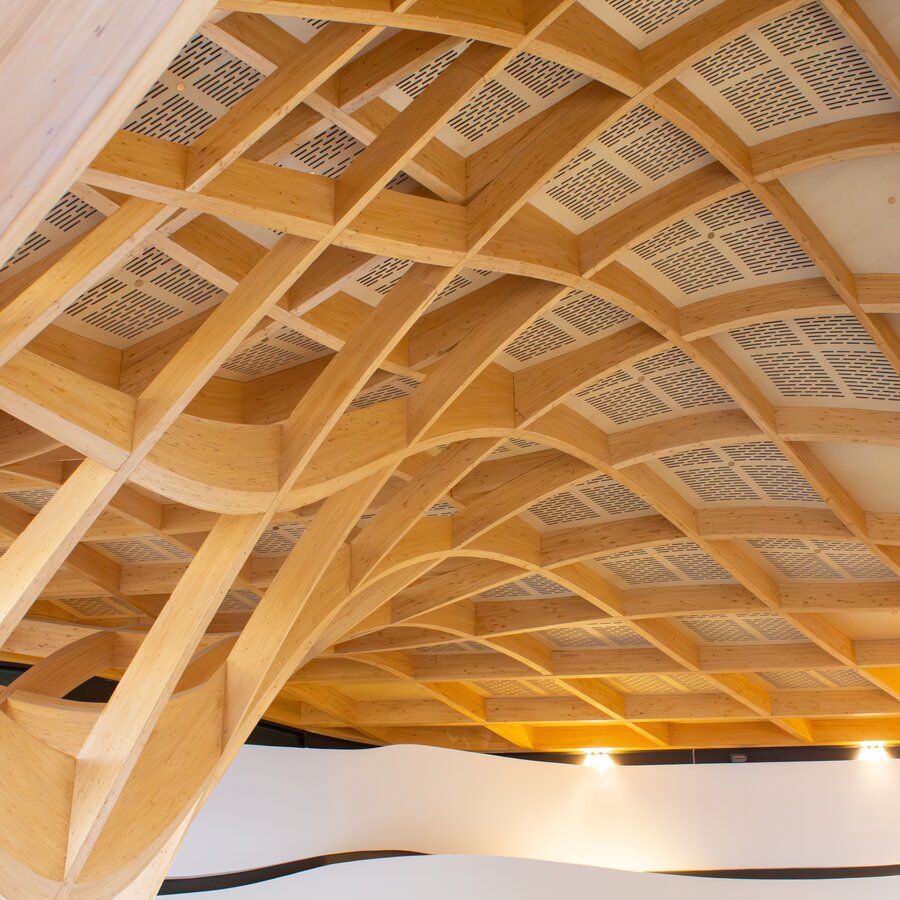 MiCROTEC - Strength Grading